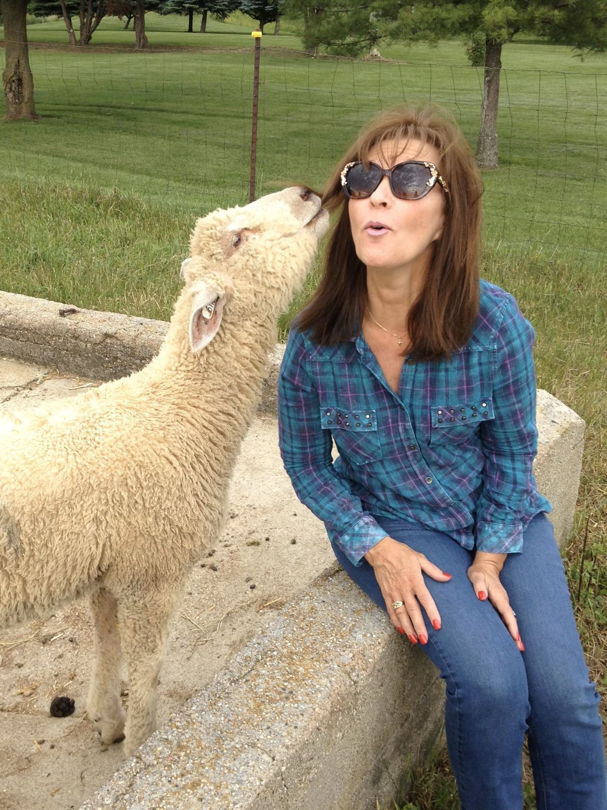 Obituaries | Schmidt & Bartelt Funeral & Cremation Services