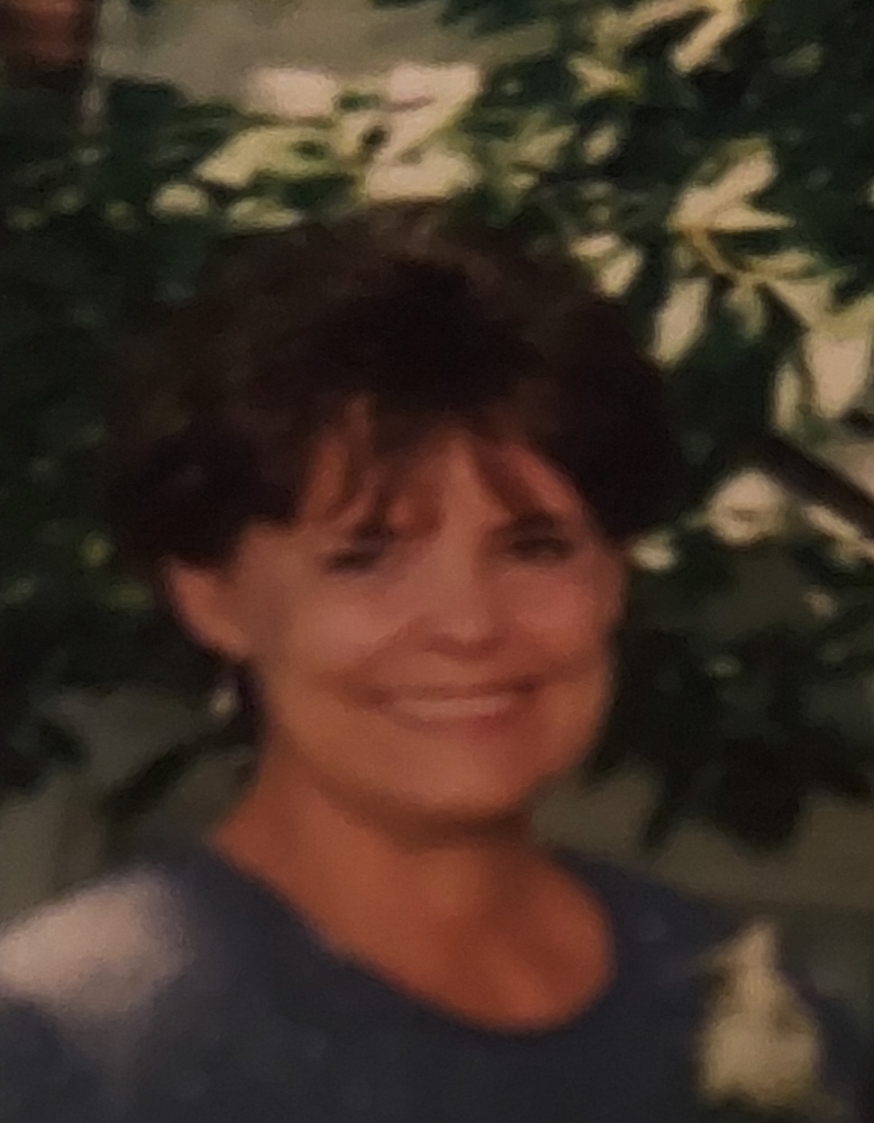 Obituaries | Schmidt & Bartelt Funeral & Cremation Services